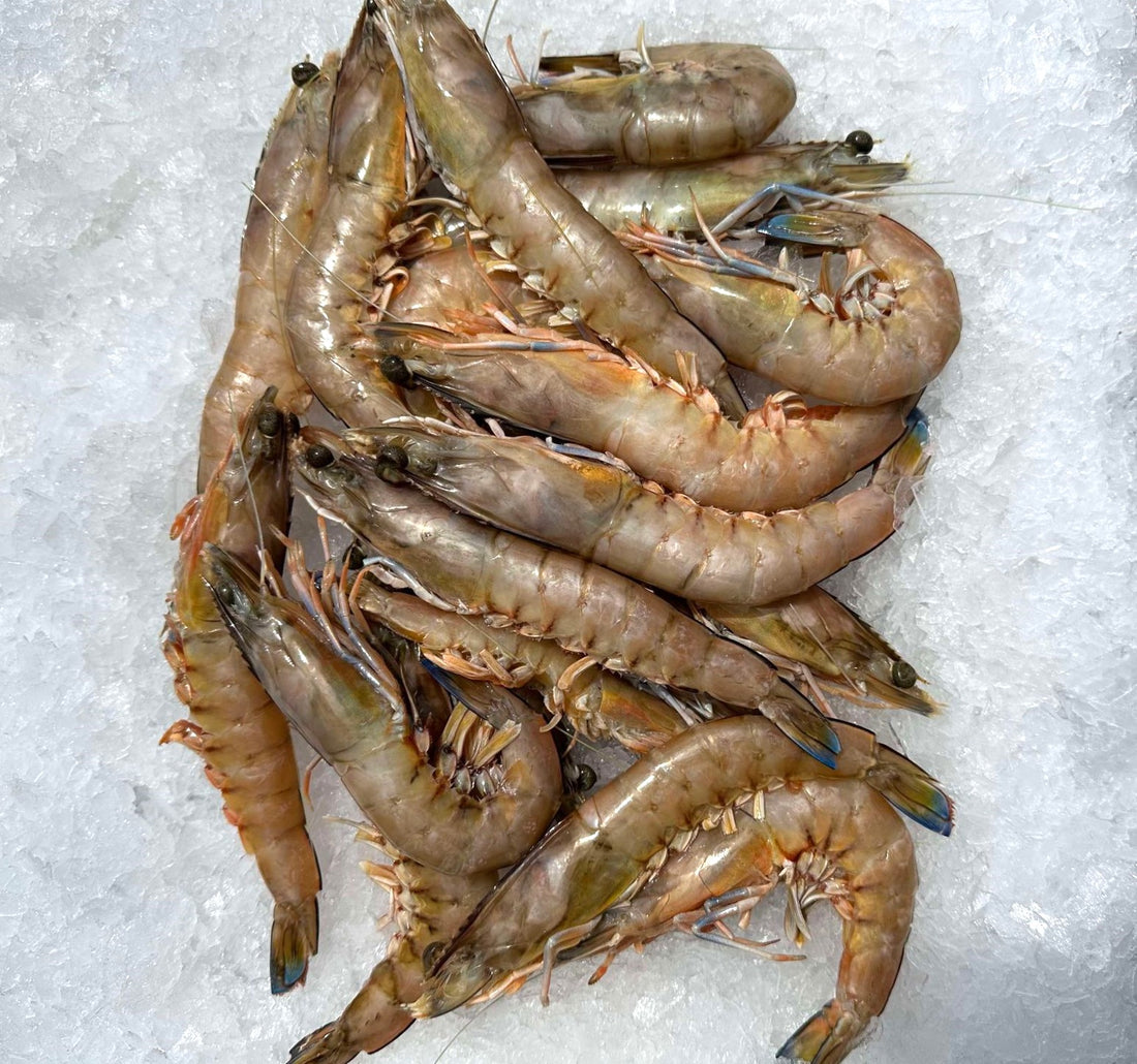 WHOLE GREEN (RAW) SA KING PRAWNS - PER KG PURCHASE – Kirkbright Seafood