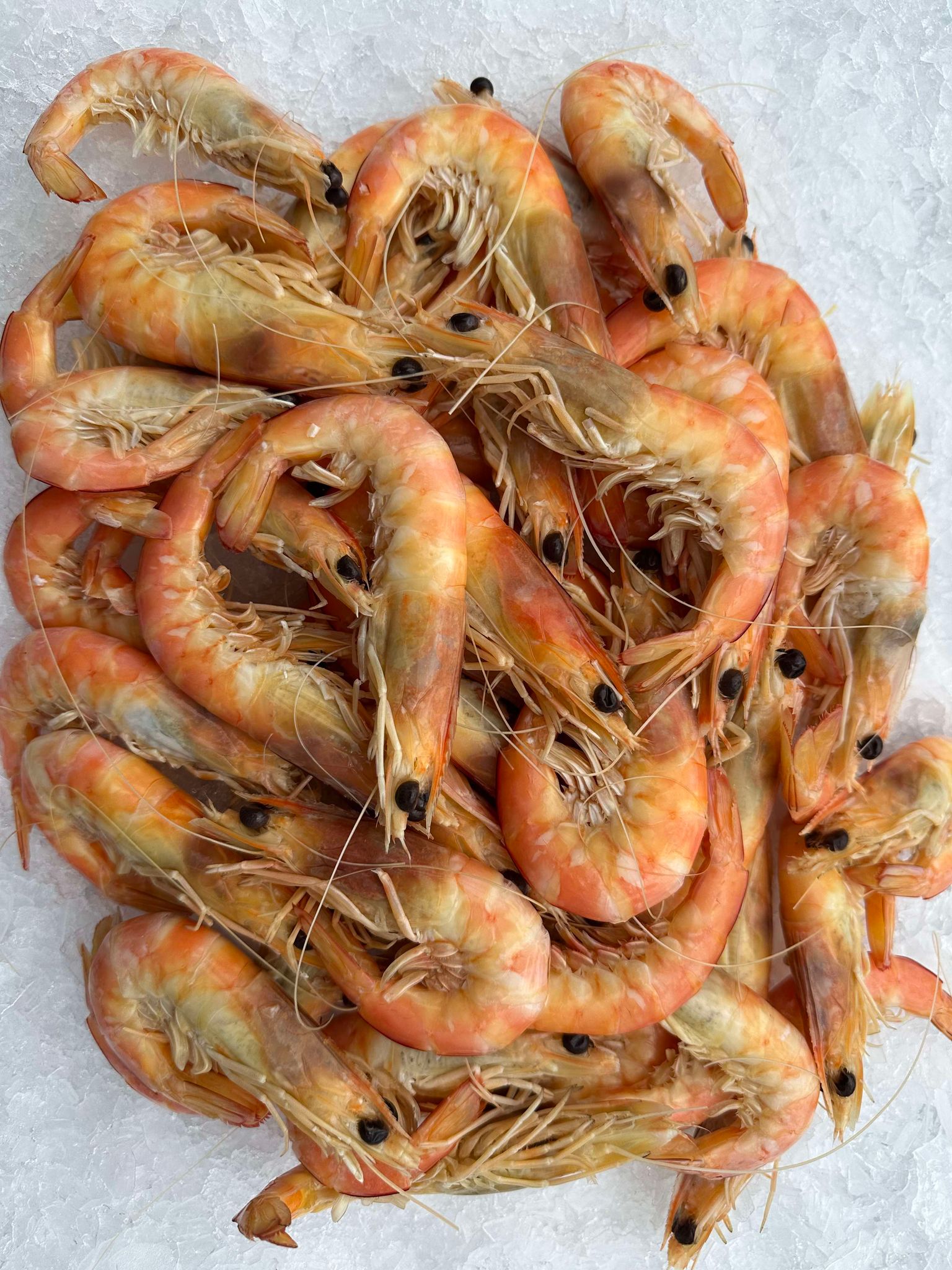 WHOLE COOKED SA KING PRAWNS - PER KG PURCHASE – Kirkbright Seafood